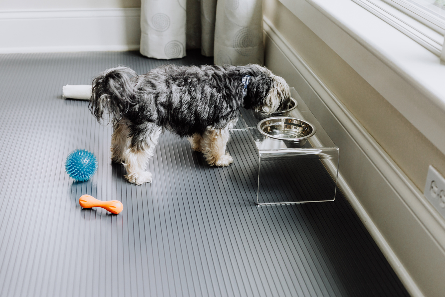 Dog Kennel Liners by G-Floor | Better Life Technology Roll-out Flooring
